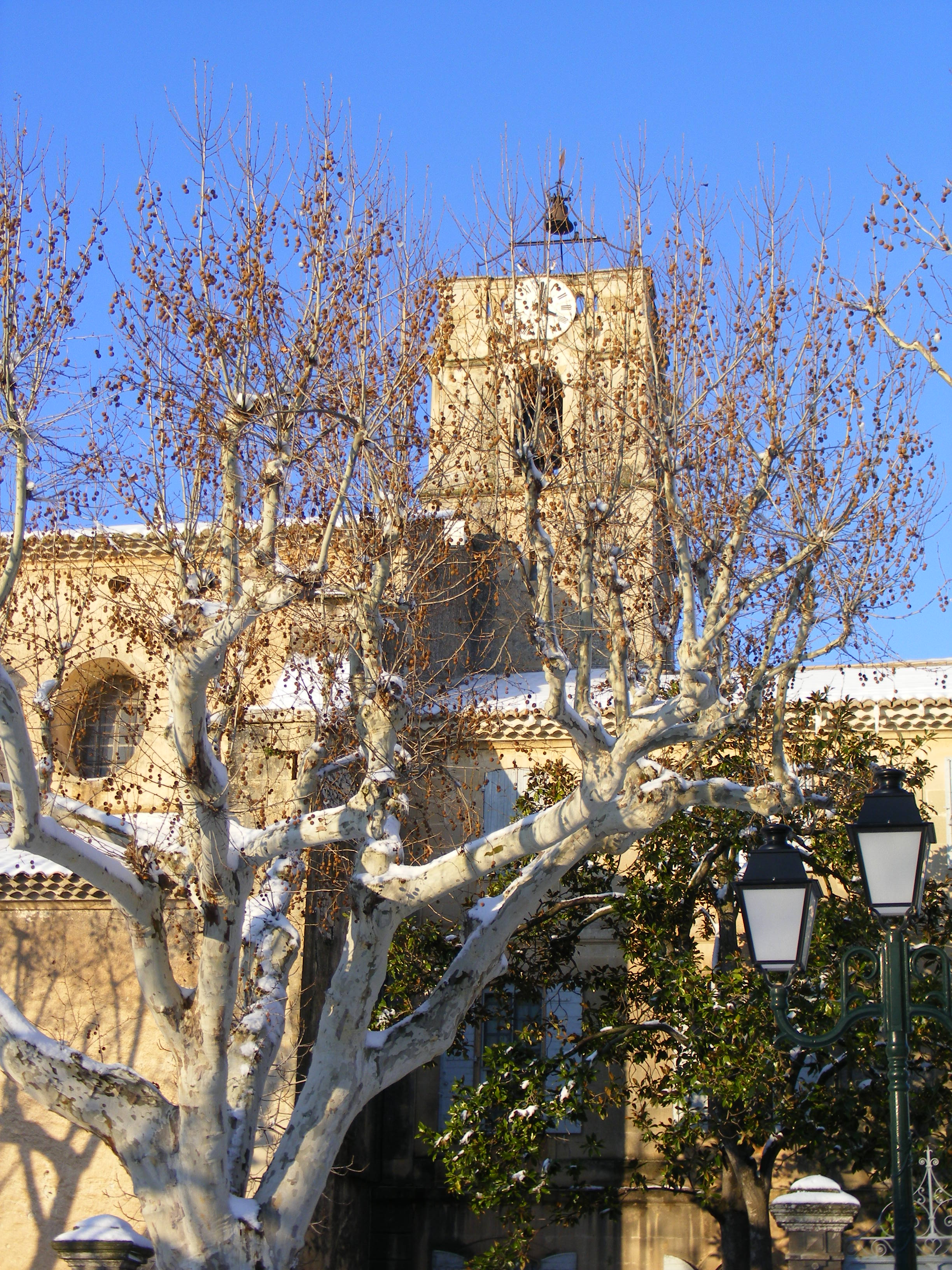 Eglise Sainte-Croix - Office de Tourisme | Maussane les Alpilles ...