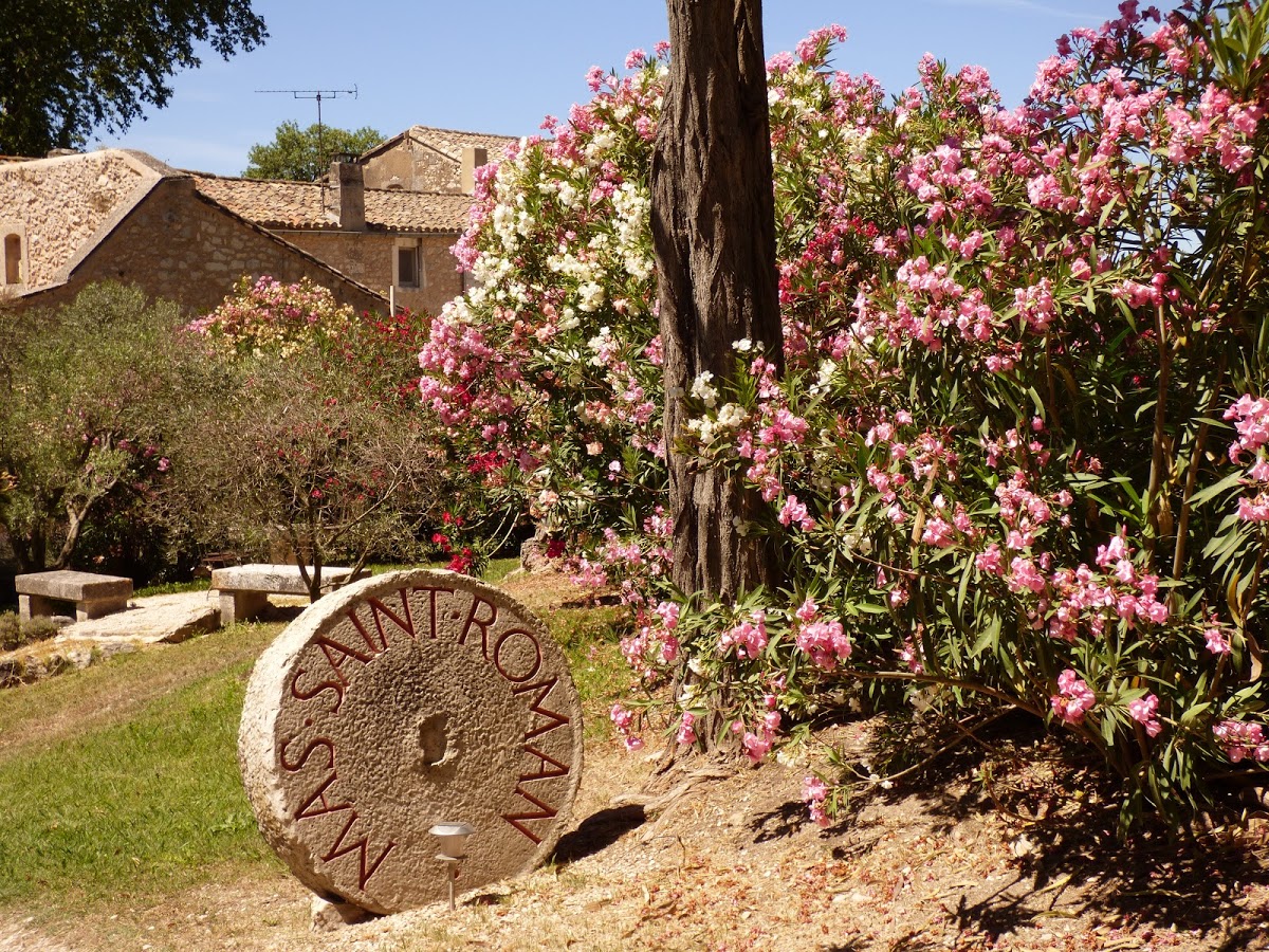 P1020502 - Office de Tourisme | Maussane les Alpilles : Office de ...